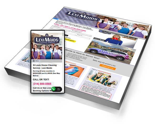 Lead-Site's process helps your business grow